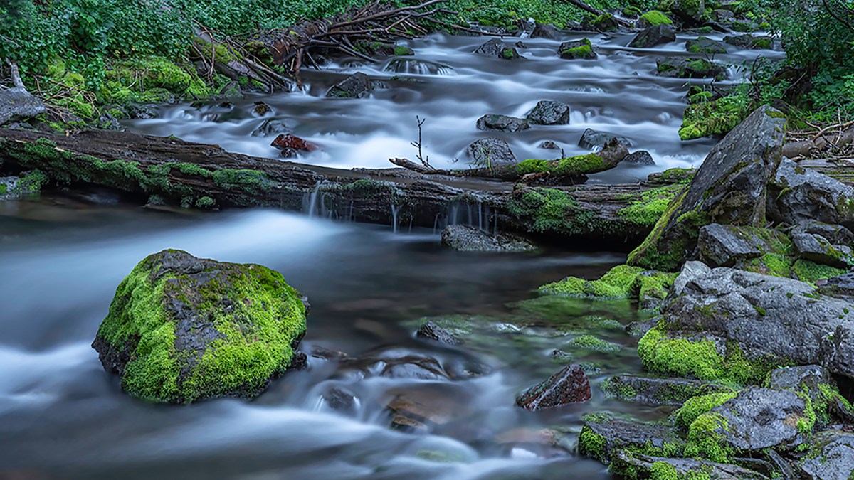 Nature’s Palette: Unraveling the Art of Colors in Landscape Photography ...